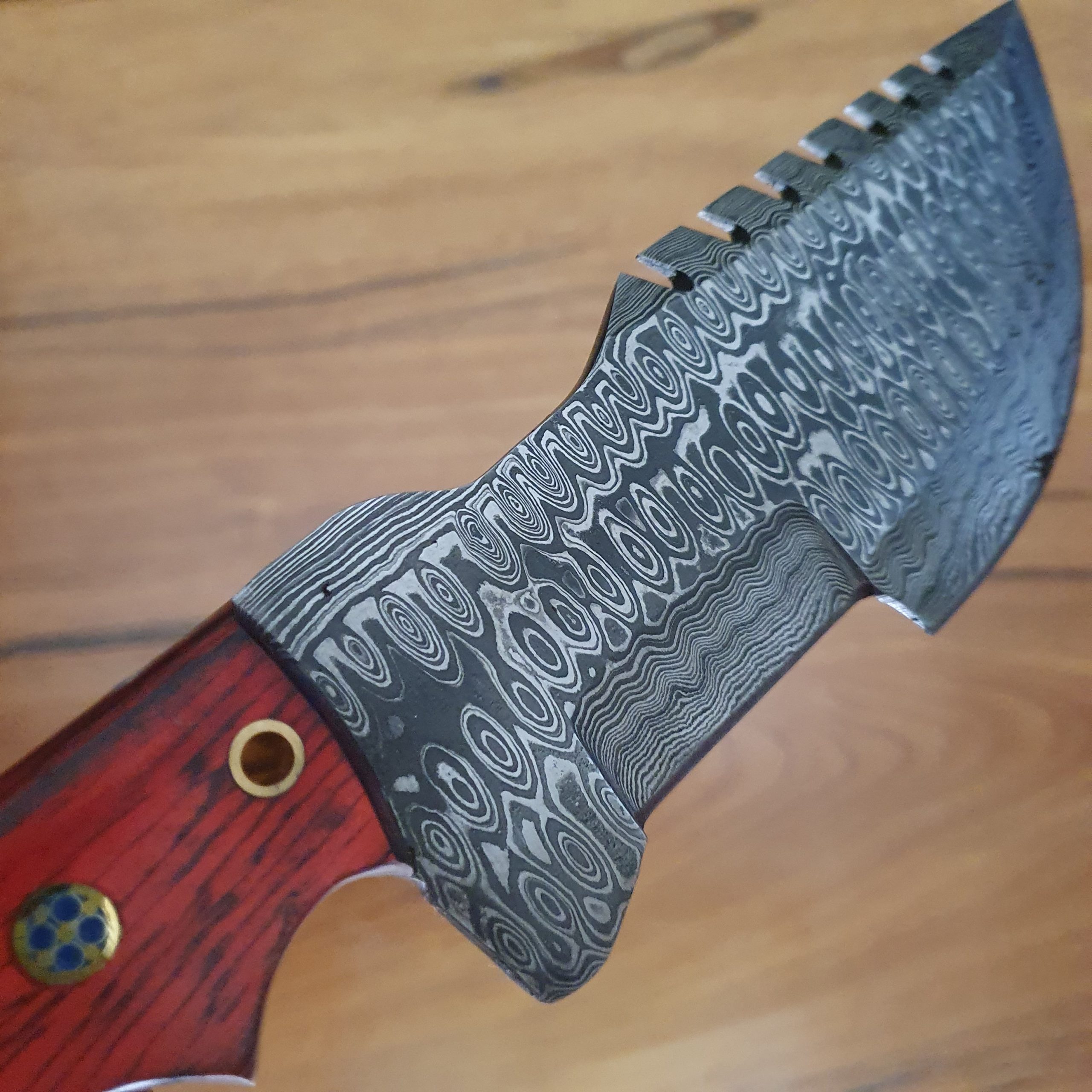 The Serrator - Shop Knives & Folders at Best Price, Custom Hunting ...